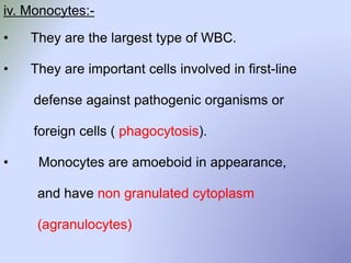 blood anatomy ppt.pptx