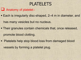 blood anatomy ppt.pptx