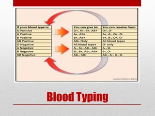 Blood and blood analysis | PPTX