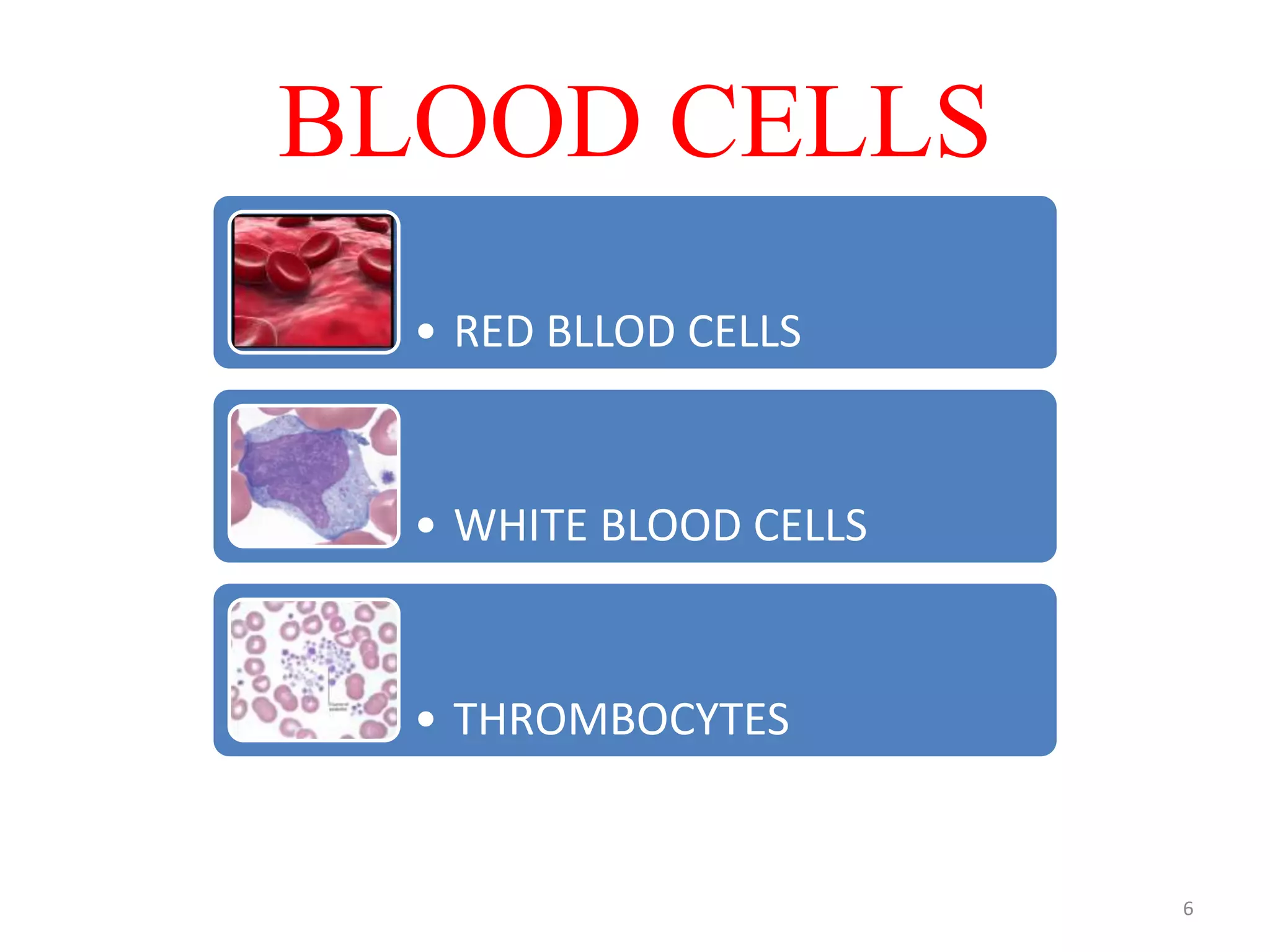 Blood and blood cells | PPTX