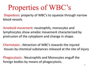 Blood and blood cells | PPTX