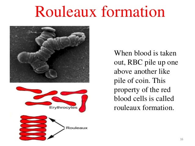 Blood and blood cells