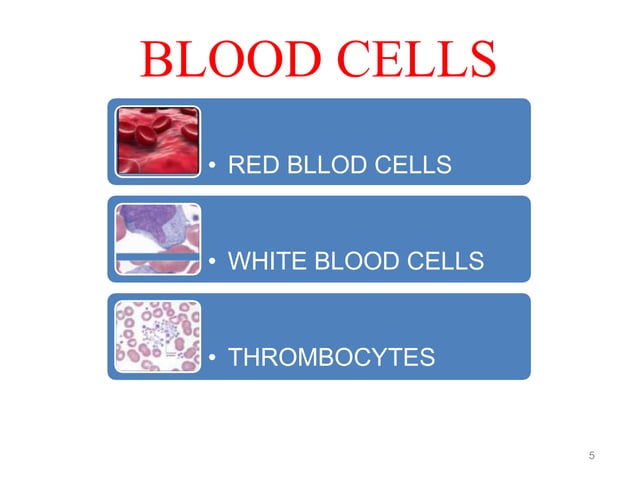 presentation on Blood and Blood cells.pptx