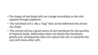 BLOOD AND BLOOD COMPONENT- introduction to blood physiology | PDF