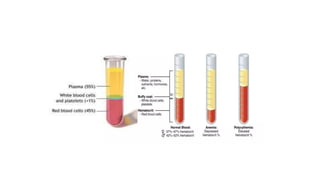 Drugs acting on Blood and Blood forming Organs.pptx