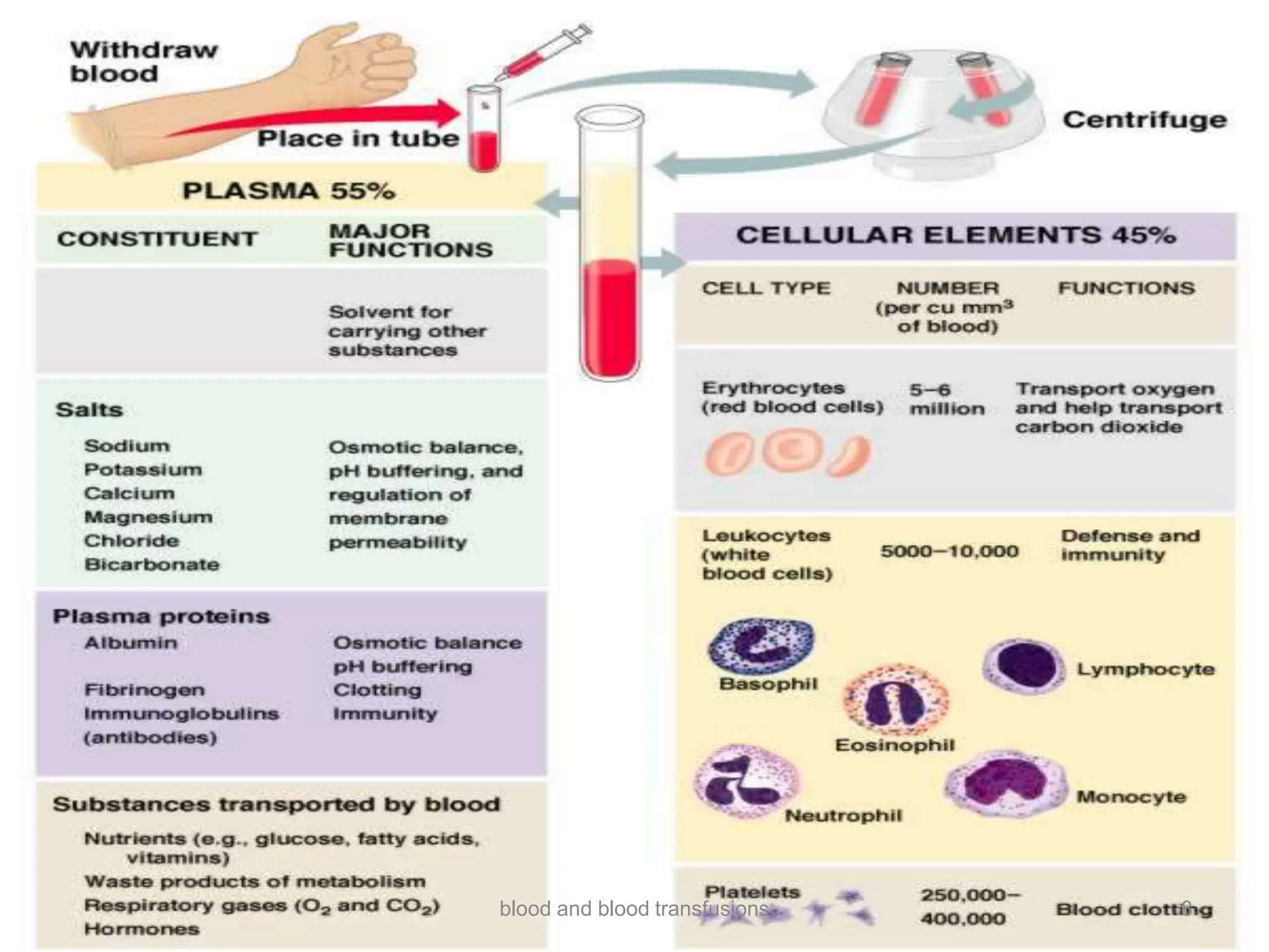blood and blood products components of blood | PPTX