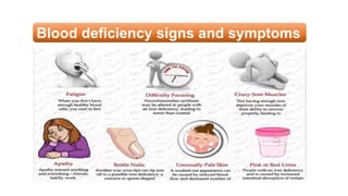 Blood and blood products presentation ppt | PPTX