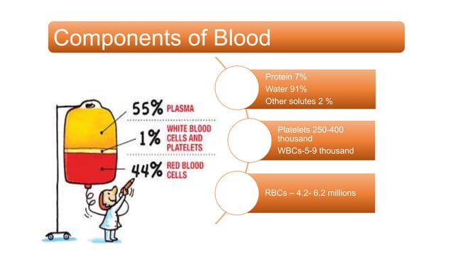Blood and blood products presentation ppt | PPTX | Blood Disorders ...