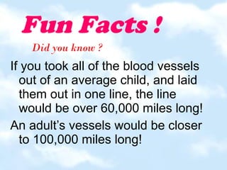 Blood and Blood Vessels | PPT