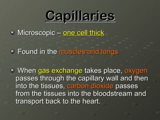 Blood and Blood Vessels | PPT