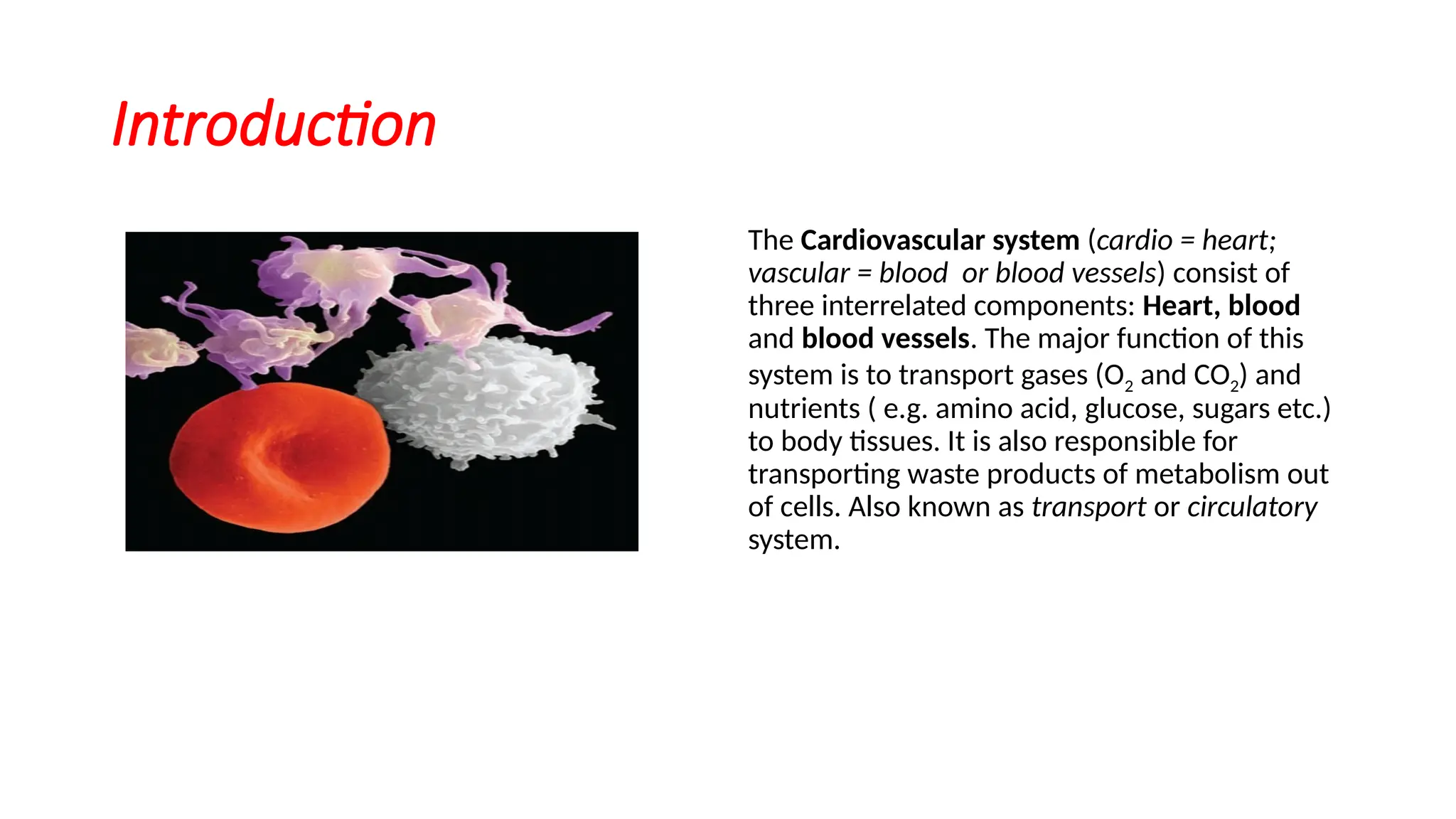 Blood and Cardiovascular System (2).pptx