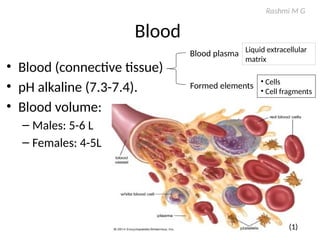 BLOOD AND CIRCULATION (Functions, components, blood clot, clotting ...