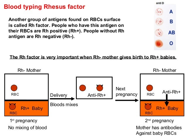 dr.fawziy 7 lecture 18/2/2013