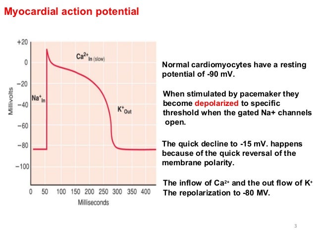 lecture 9 dr.fawizy 4/3/2013