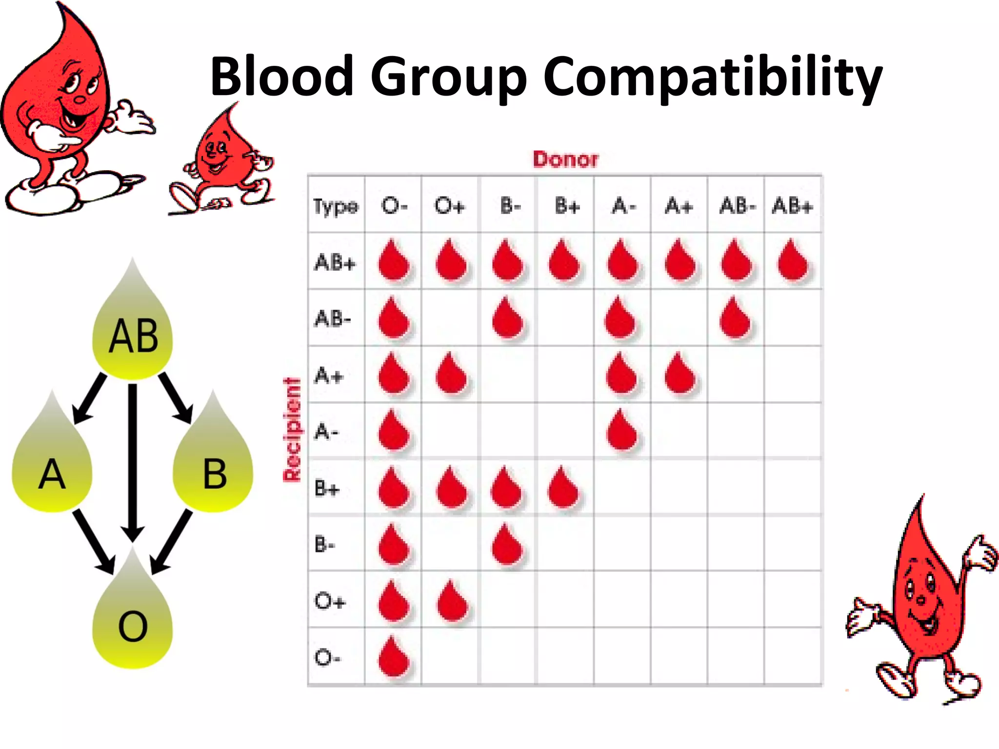 Blood and donation facts | PPT