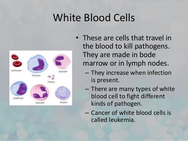 Blood and Immune Systems for IHS Unit 4
