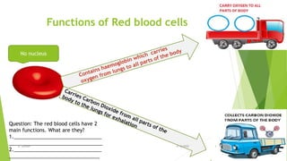 Blood and its 4 components | PPSX