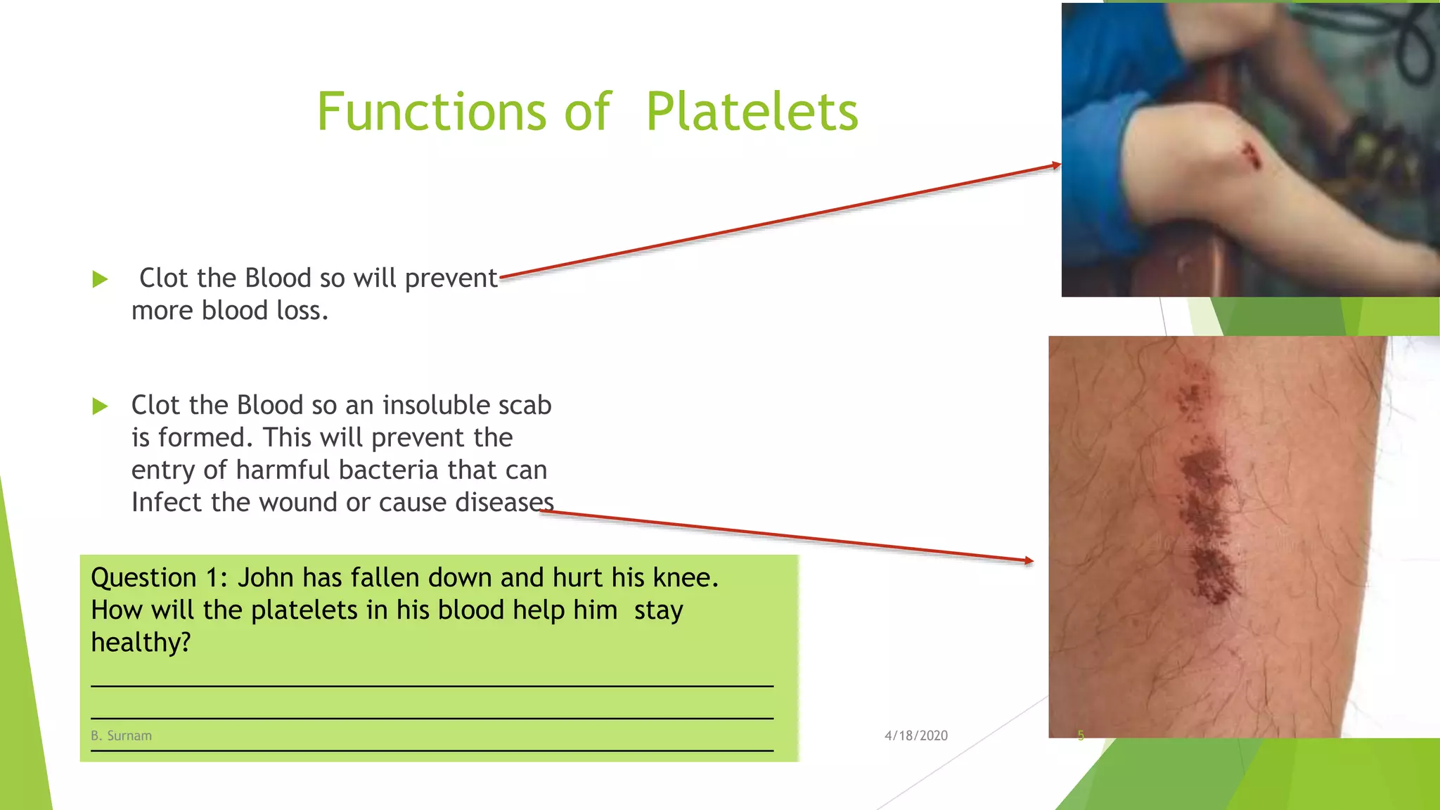 Blood and its 4 components | PPSX