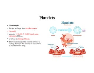 Blood and its circulation | PDF