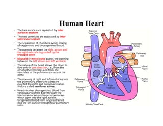 Blood and its circulation | PDF