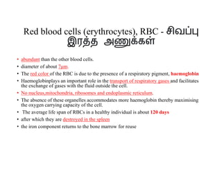 Blood and its circulation | PDF