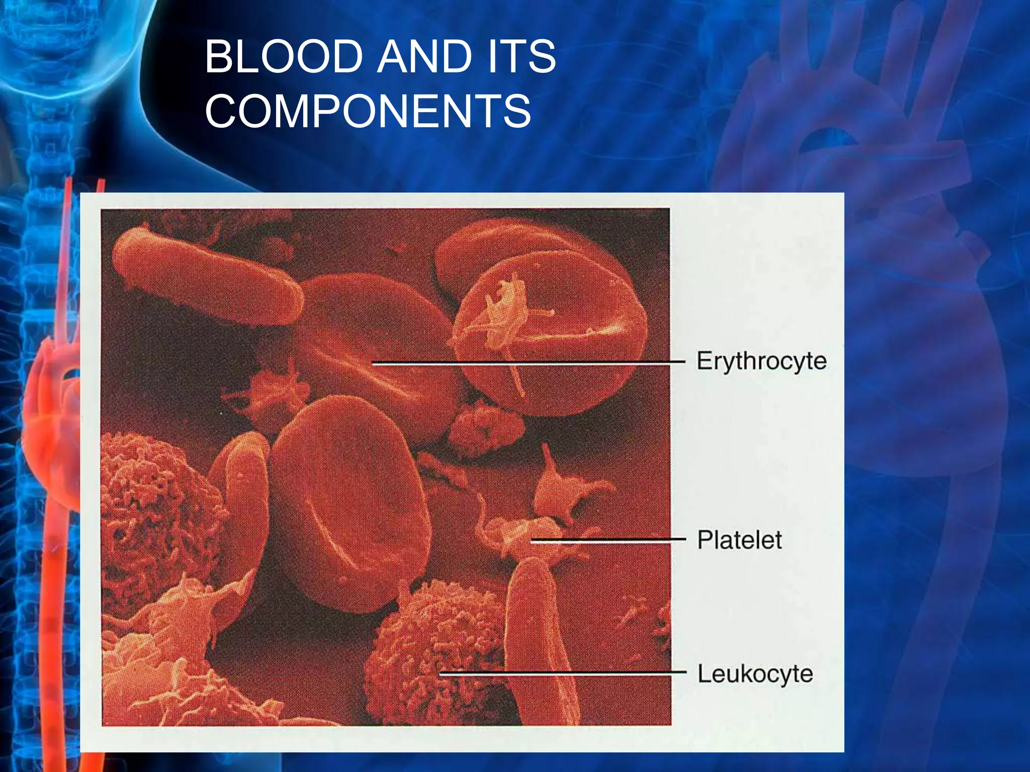 Blood and its components | PPTX