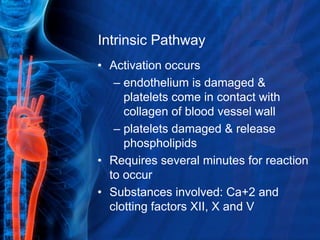 Blood and its components | PPTX