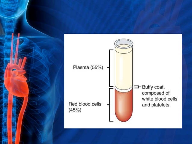 Blood and its components | PPTX | Blood Disorders | Diseases and Conditions