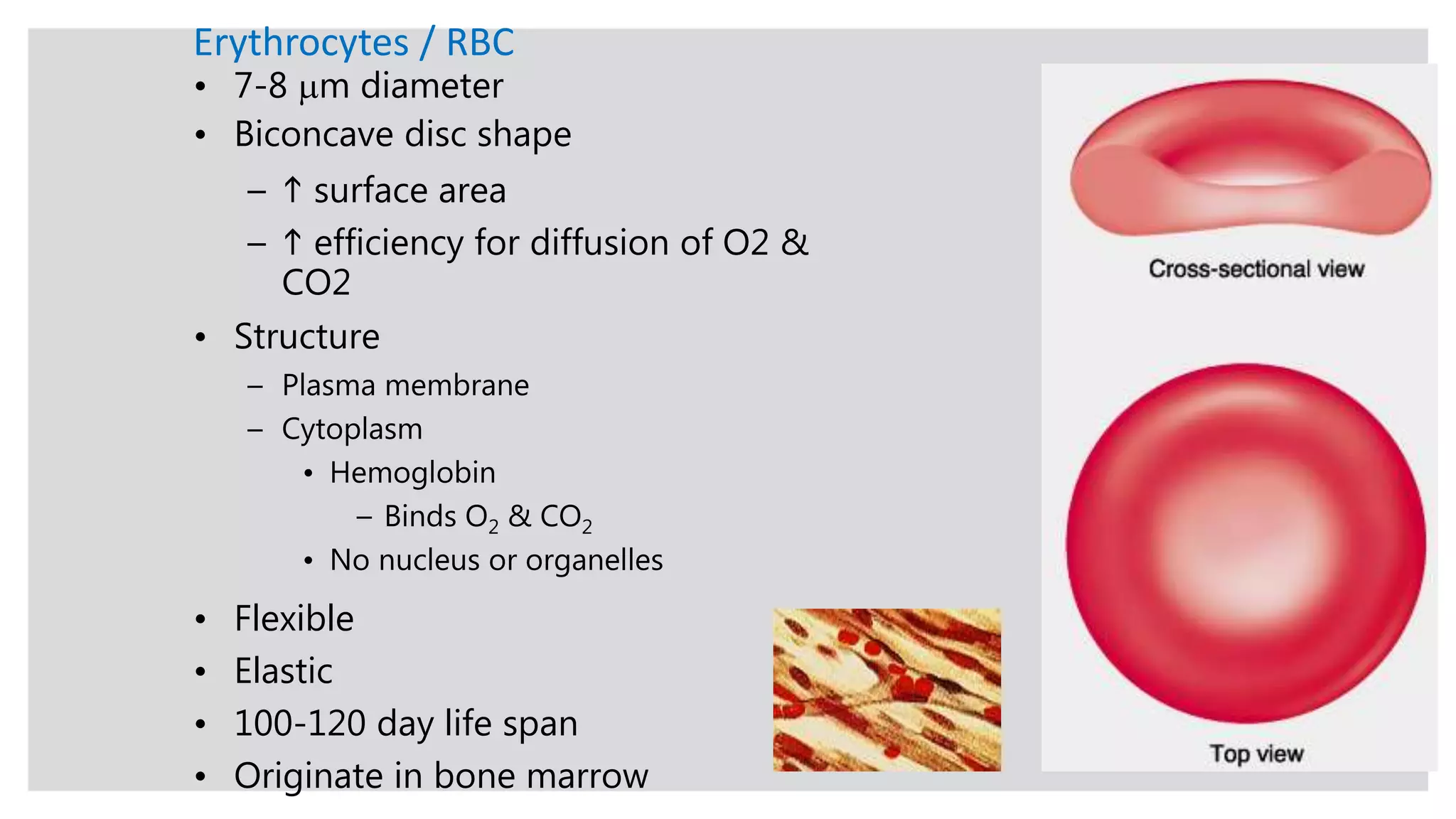Blood and Its Components | PPTX