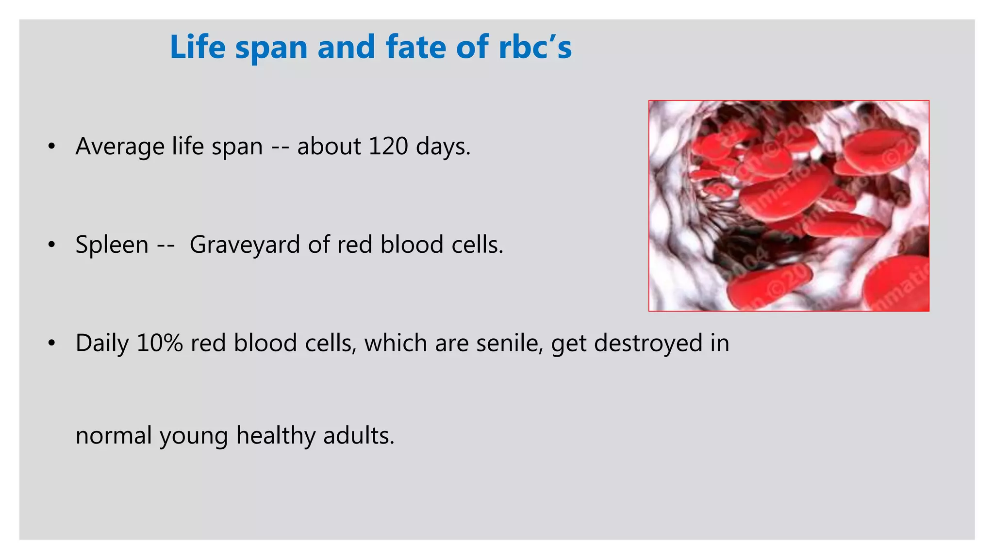 Blood and Its Components | PPTX