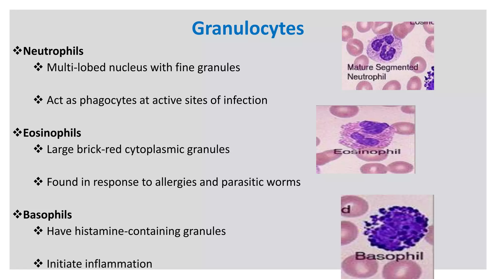 Blood and Its Components | PPTX