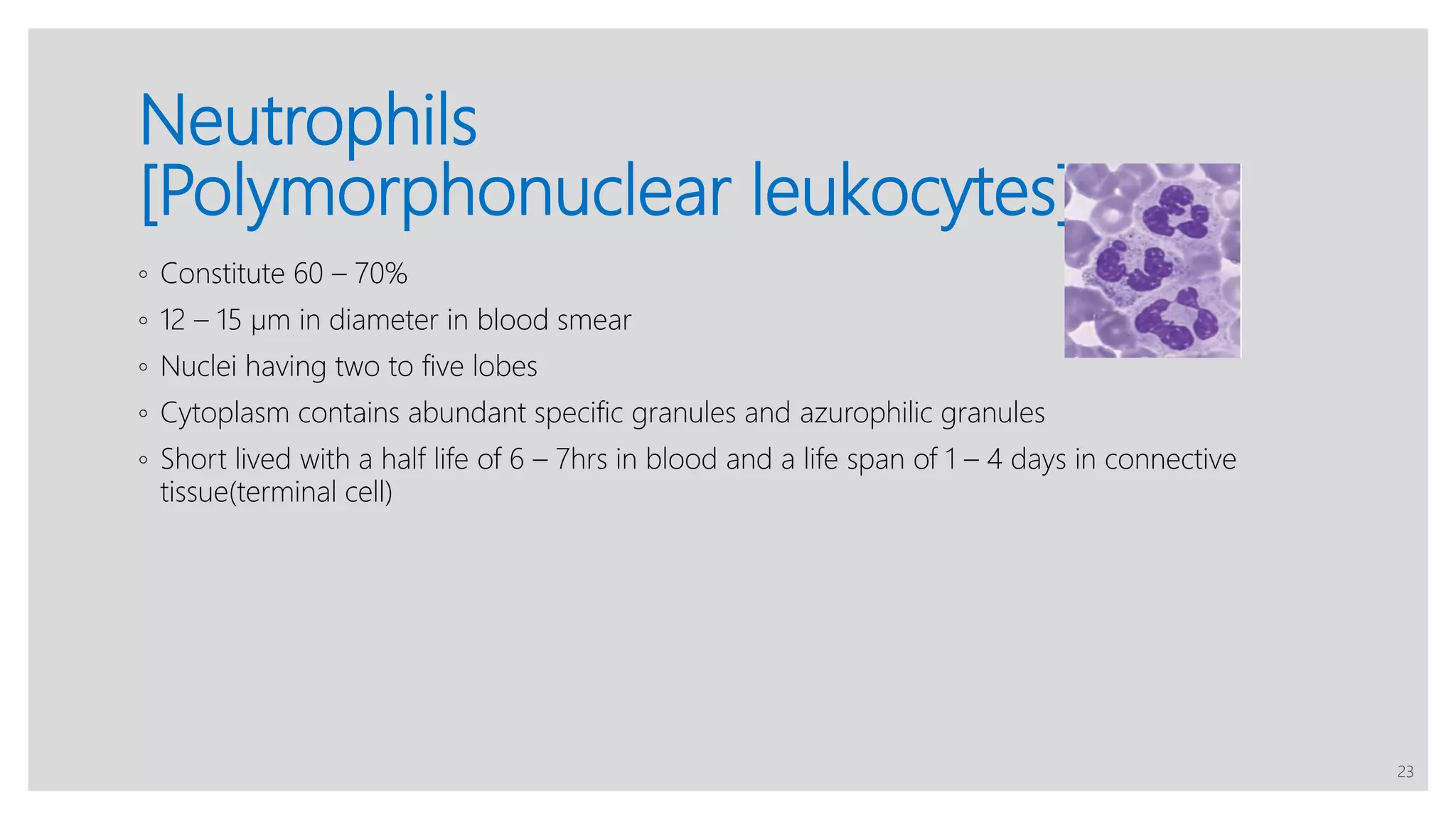 Blood and Its Components | PPTX