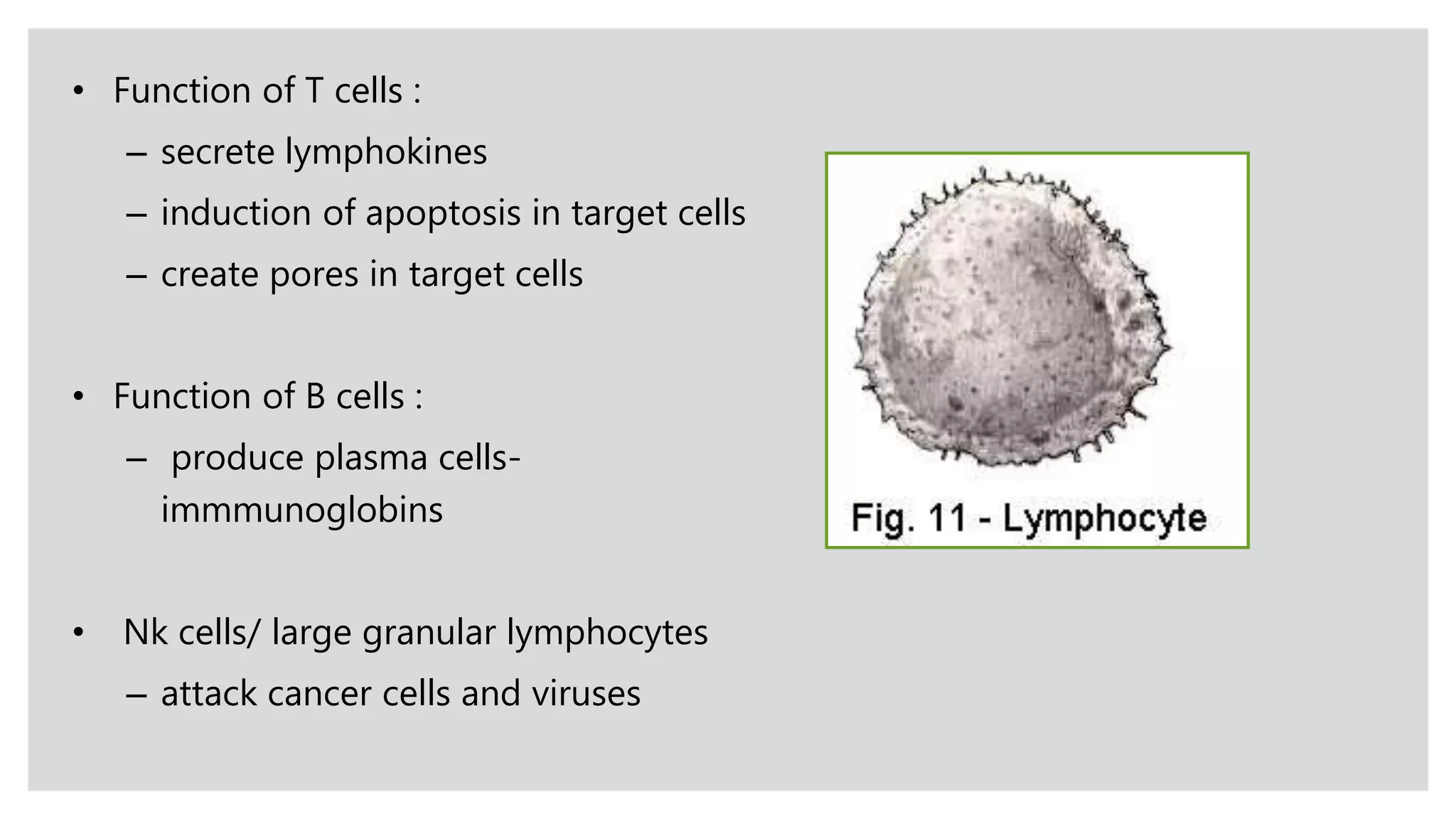 Blood and Its Components | PPTX