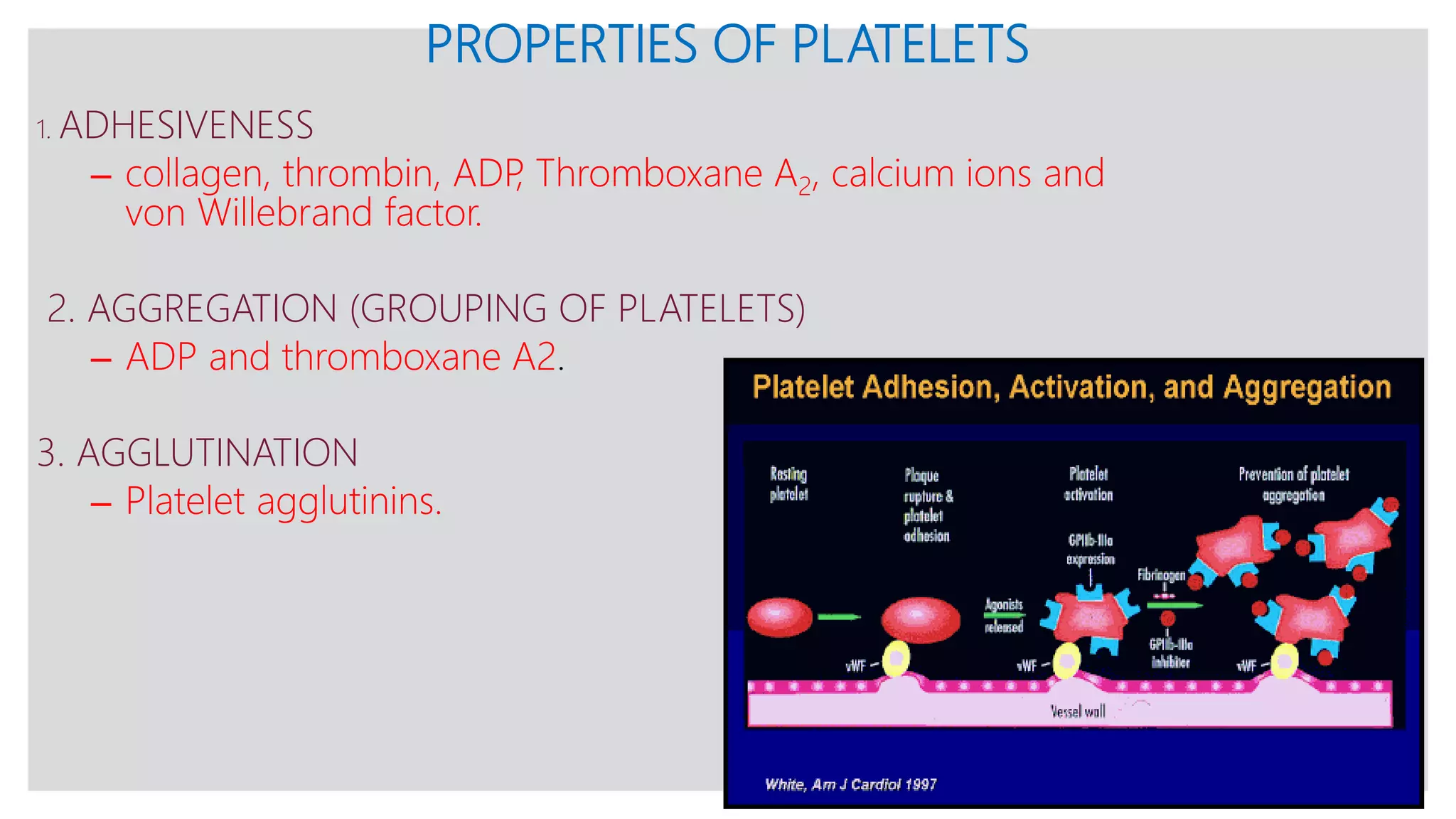 Blood and Its Components | PPTX
