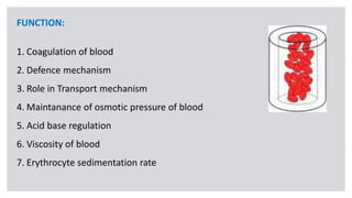Blood and Its Components | PPTX
