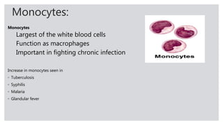 Blood and Its Components | PPTX