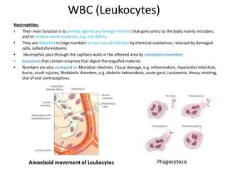 Blood and its components | PPTX