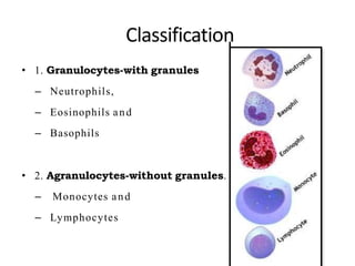 Blood and its components Part 2 | PPTX