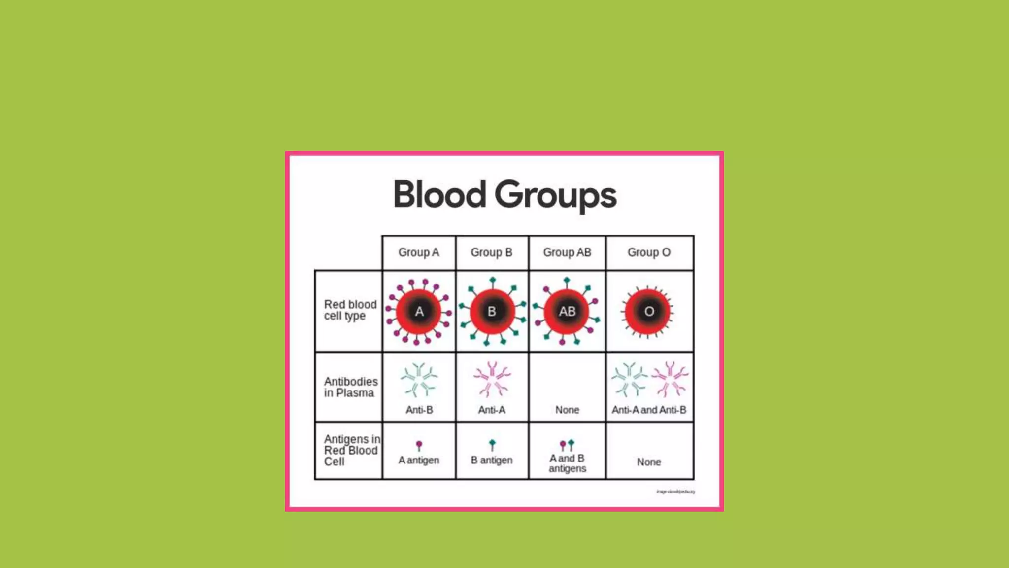 blood and its components.pptx