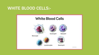 blood and its components.pptx