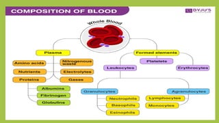 blood and its components.pptx