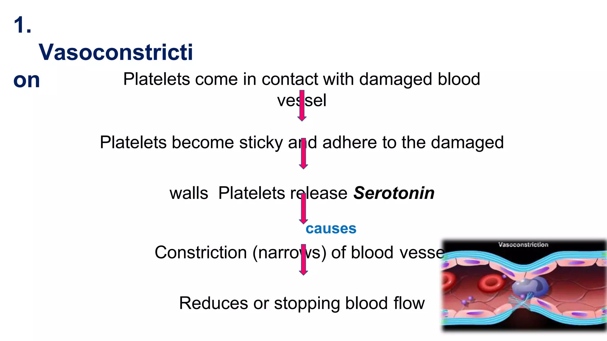 Blood and its components.pptx
