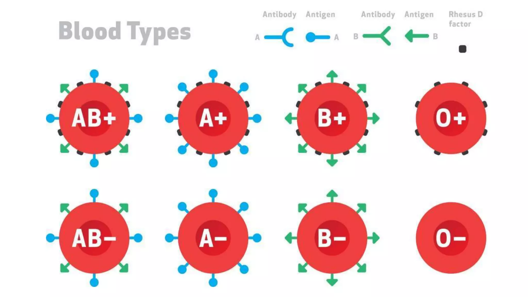 Blood and its components.pptx