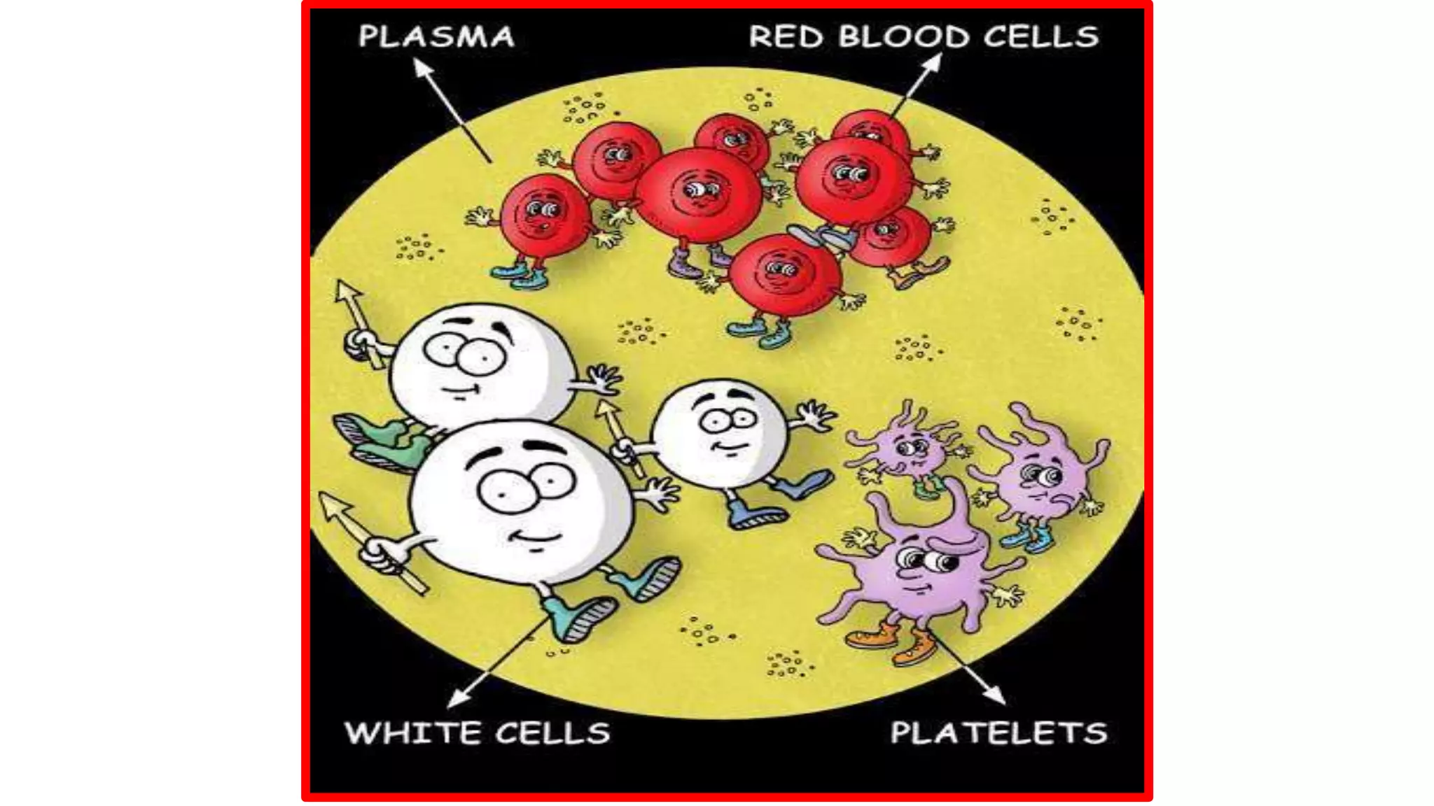 Blood and its components.pptx