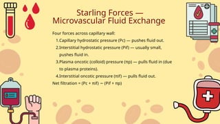 Blood and Its Components: Structure, Functions & Clinical Importance.pptx