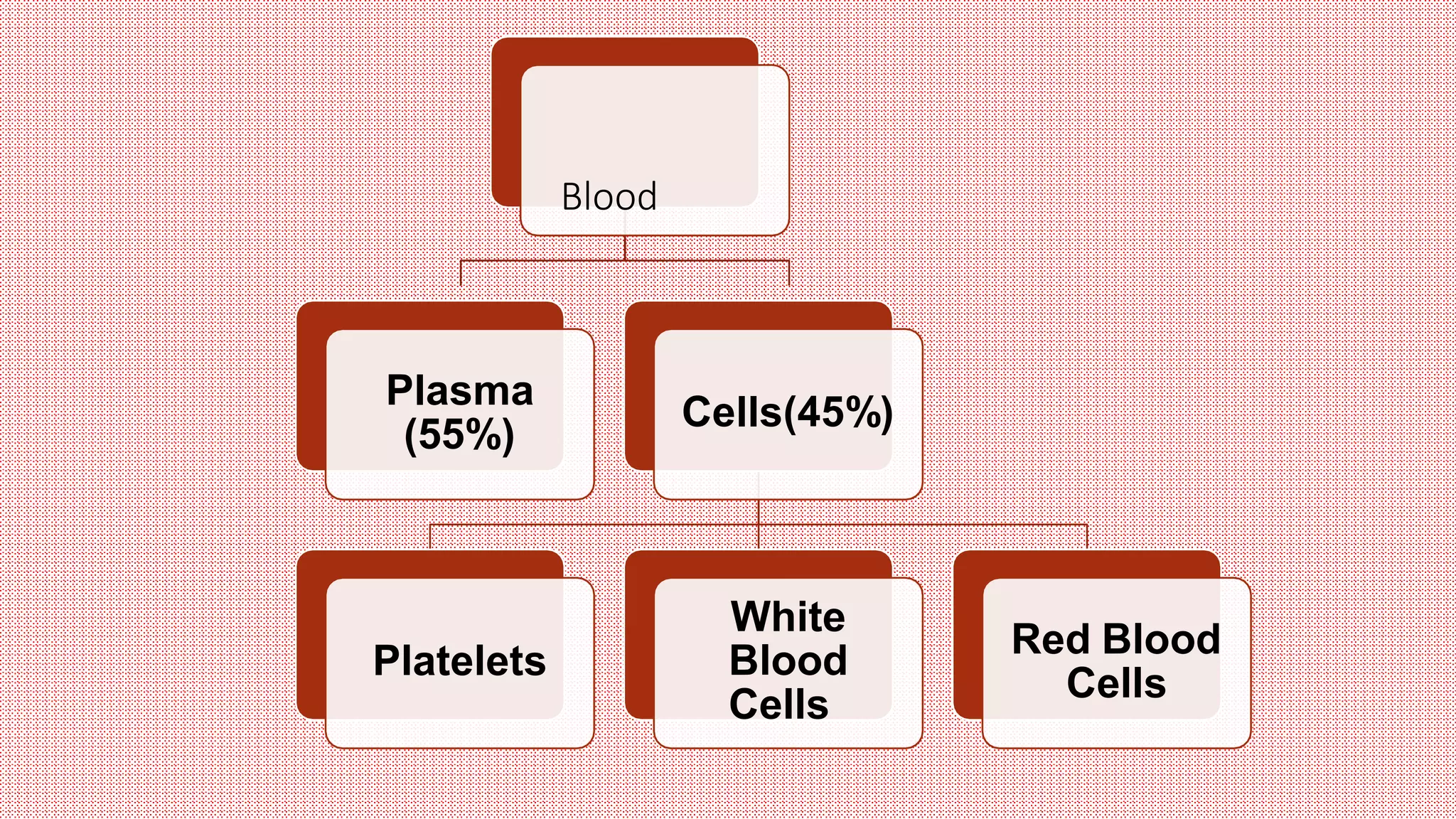 Blood and its composition | PPTX