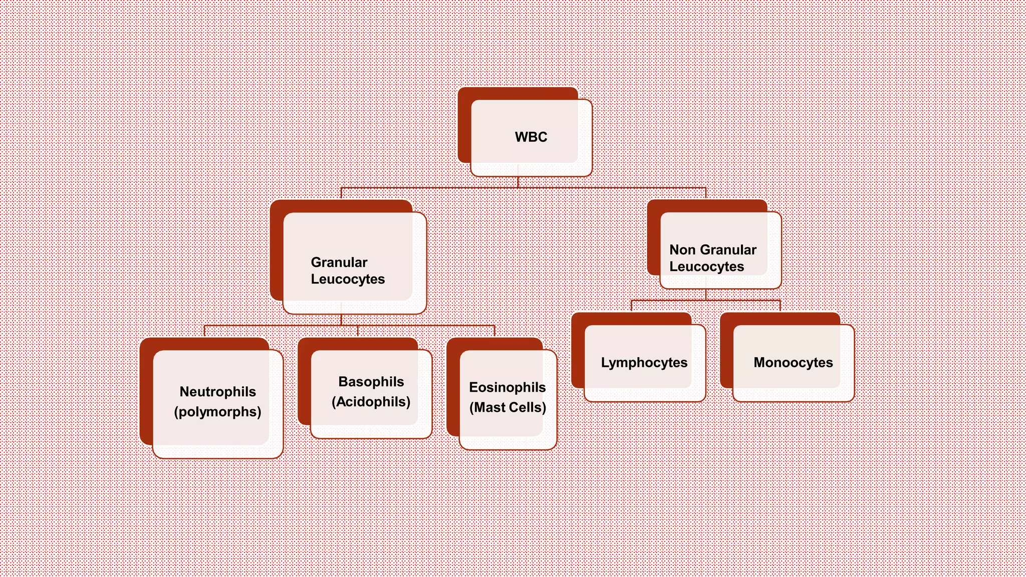 Blood and its composition | PPTX