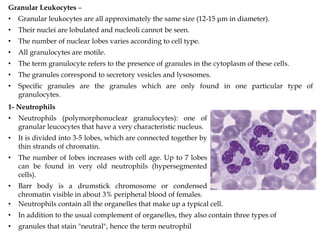 blood and its composition.pdf | Blood Disorders | Diseases and Conditions