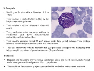 blood and its composition.pdf | Blood Disorders | Diseases and Conditions