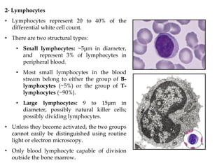 blood and its composition.pdf | Blood Disorders | Diseases and Conditions